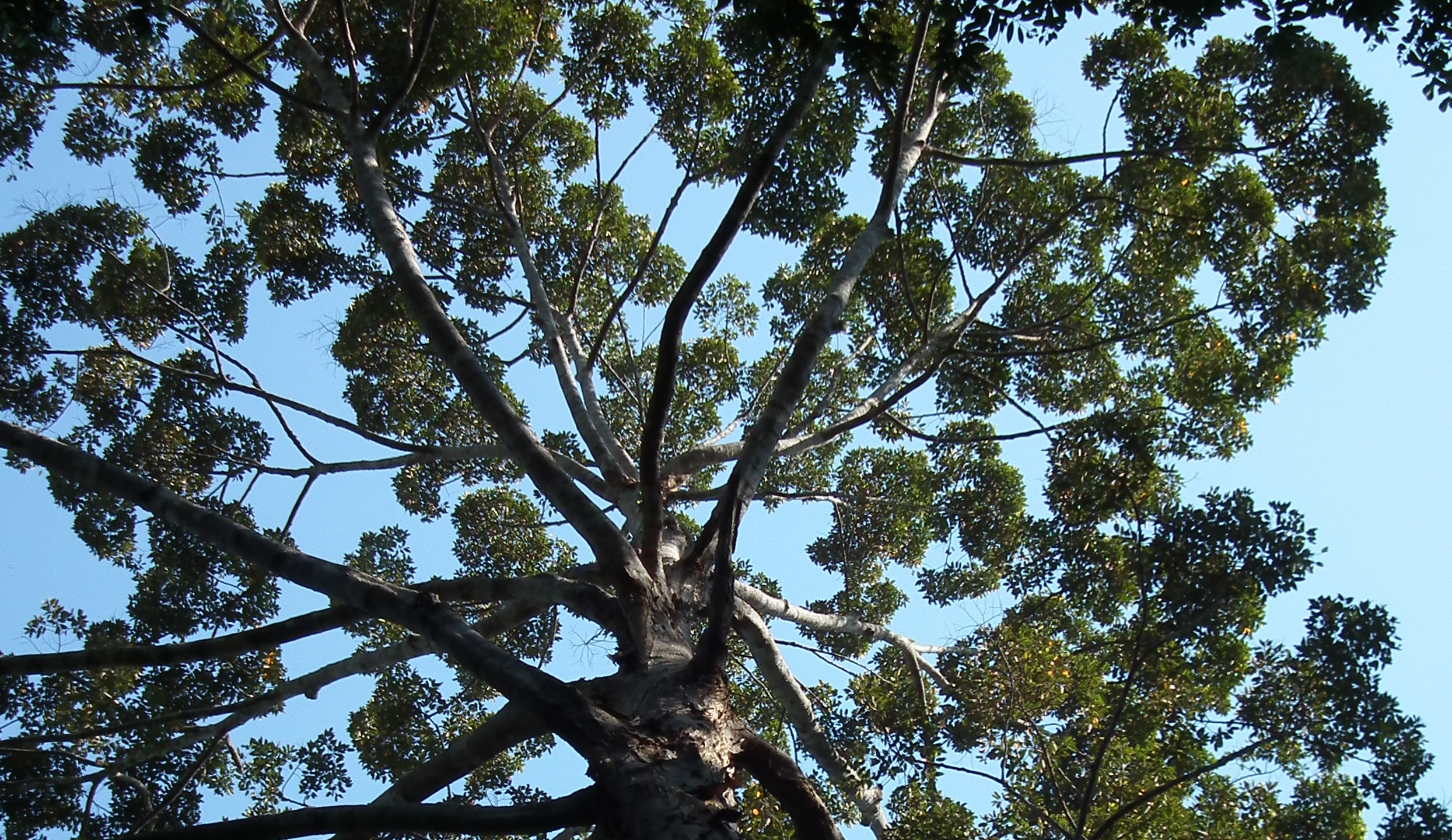 Donors - Wetlands International Malaysia